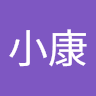 孙小康