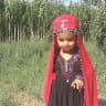 Wali Gul Halim Zai