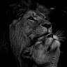 King ABBA