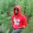 Nkushernkosi Tevin
