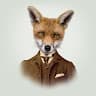 Thebrown Foxbd