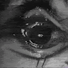 صالح صالح