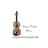Smart Violin