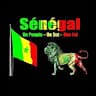 Boubacar Diao