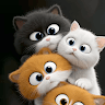 Cute Boy