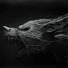 Rohan Ashok