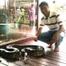 Muhamad Rudy