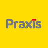 Praxis Tasks