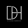 DH Holdings