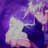 ドラゴデミニイ