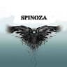 QL - SPINOZA