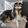 TheShetland SheepGod