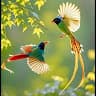 Vidur