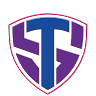 Televinter Services