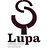 Lupa Assessoria E Gestão de Negócios Ltda