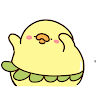 bs H