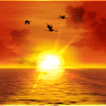 Gull Mohammad Noori