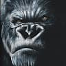Doctor Kong