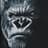 Doctor Kong