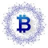 The Lead Blockchain Developer