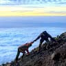 slamet jawi