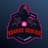 Dragon Gaming