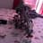 Davaughn Mindstorms