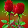Asad Online work