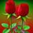 Asad Online work