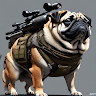 Pug