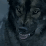 Ash Floofs