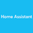 home assistant