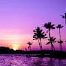 Anshika Almal