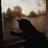 nazzan dumptrucks