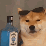 Doge God