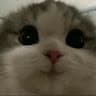Malem Hemam