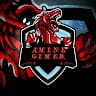 AMINE GIMER