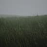 grass apo