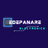Depanare Electronice