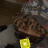 POUTCHI YT