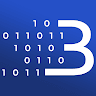 Binary IT Solutions