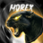 Morex Edit