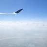 ZW PAN