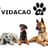 vidacao43 dicas pet