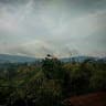 Alif Rizky