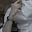 Shahmeer Sohail