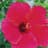 Ayoub_S