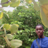 Mouhamed Seck