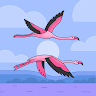 Niko