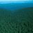 TREES BEATS